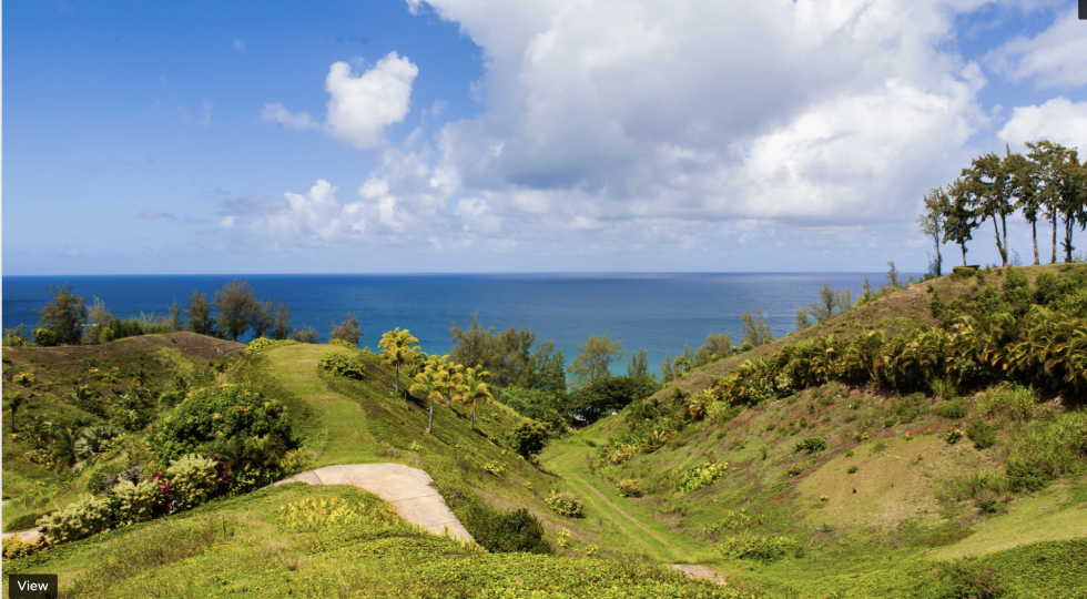 Hale Nanea Kilauea Home Rental | Jean & Abbott Properties