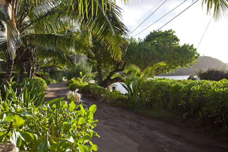 Anini Beach Boat House Rental | Jean & Abbott Properties