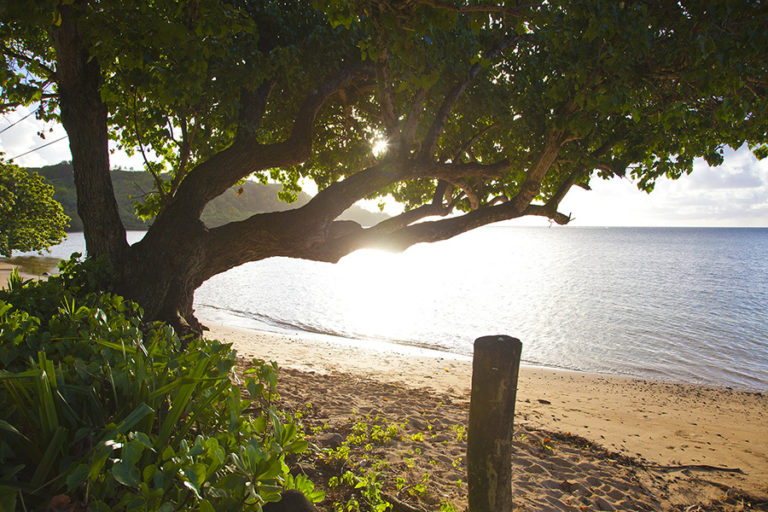 Anini Beach Boat House Rental | Jean & Abbott Properties